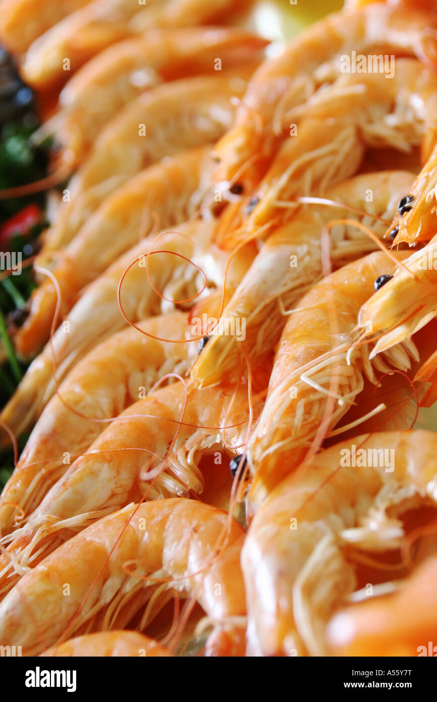 Close up of Cooked prawns Stock Photo - Alamy