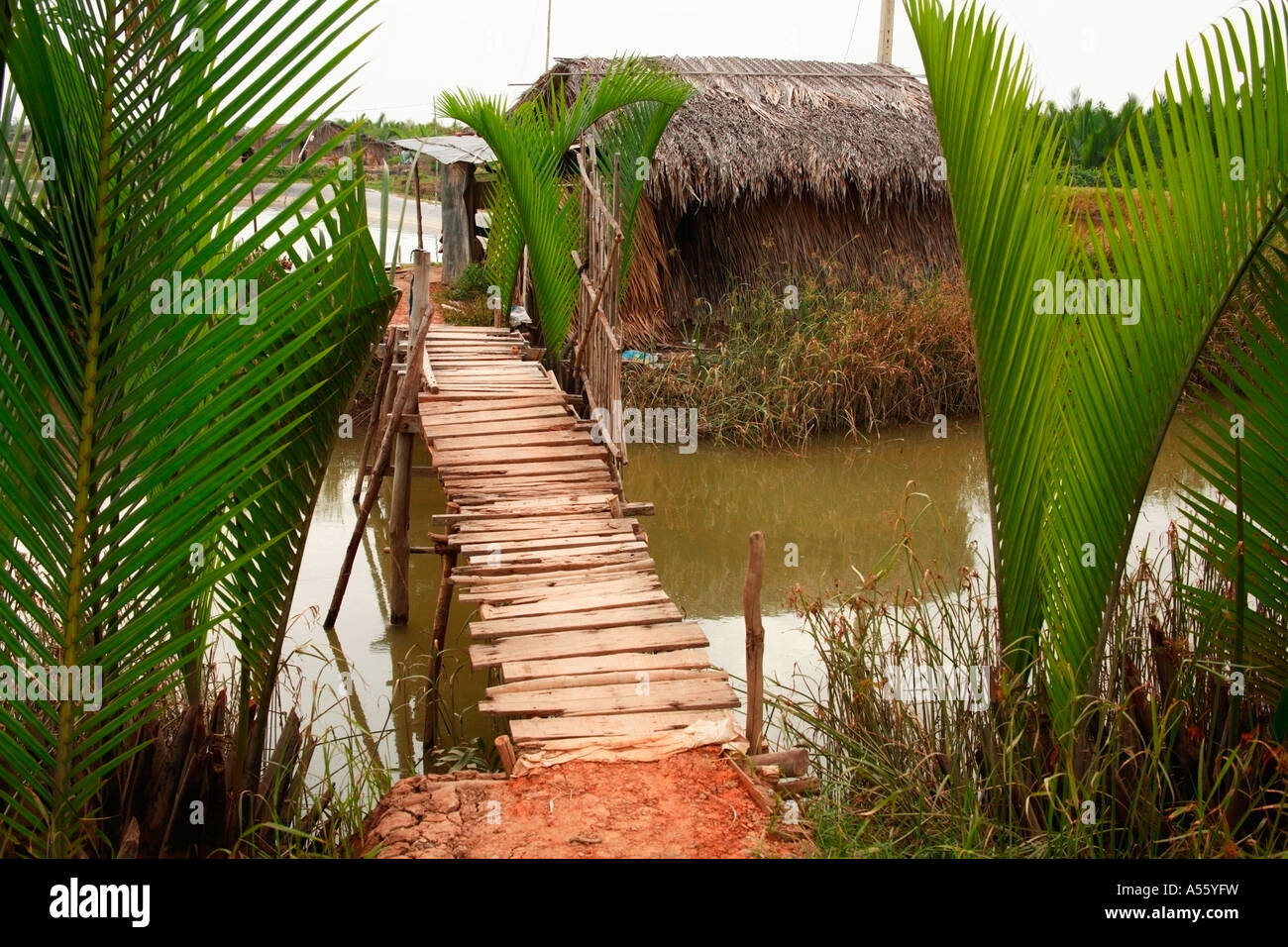 Traditional farm dwelling Vietnam Stock Photo - Alamy