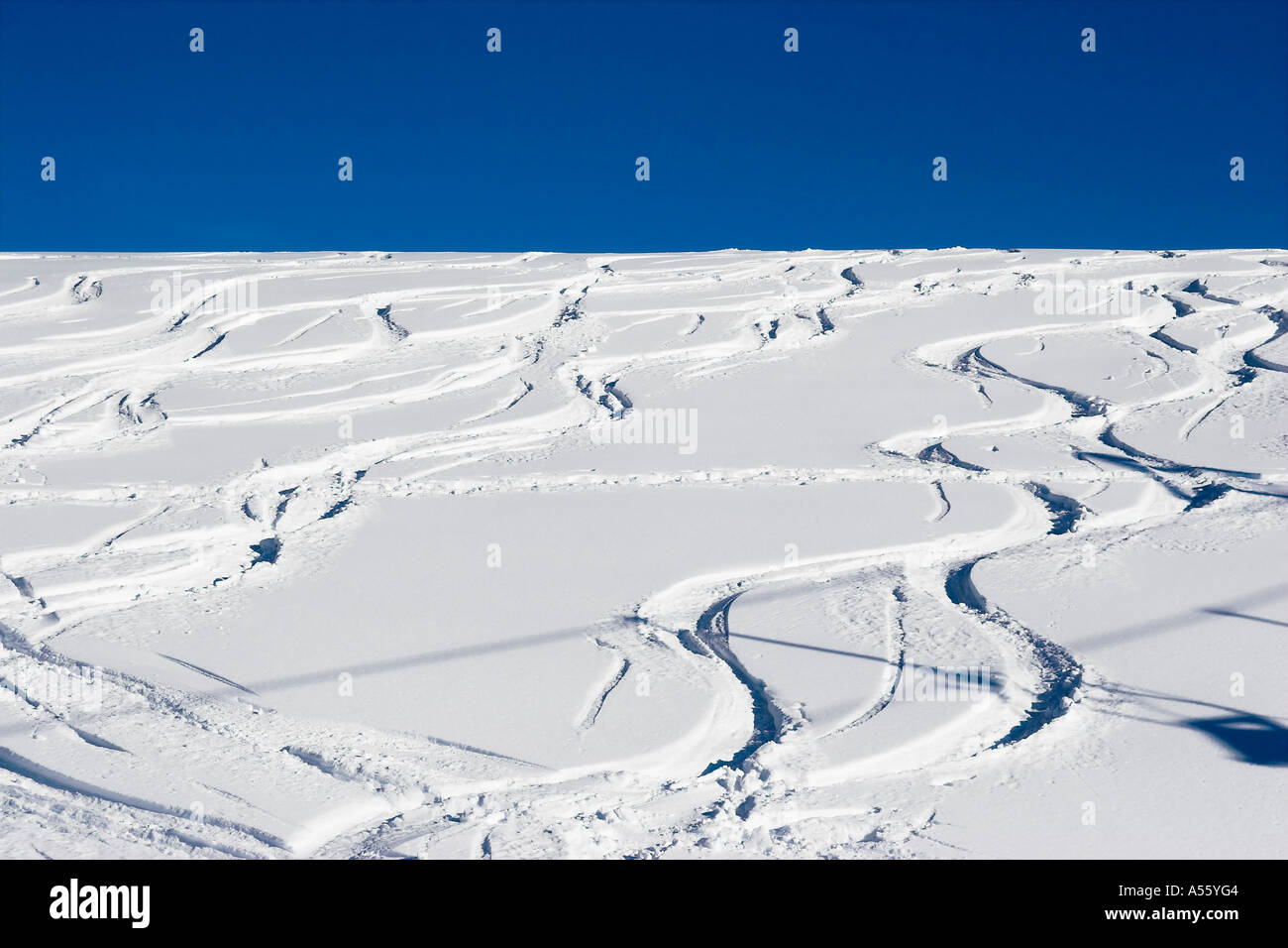 Ski tracks in deep powder snow Stock Photo - Alamy