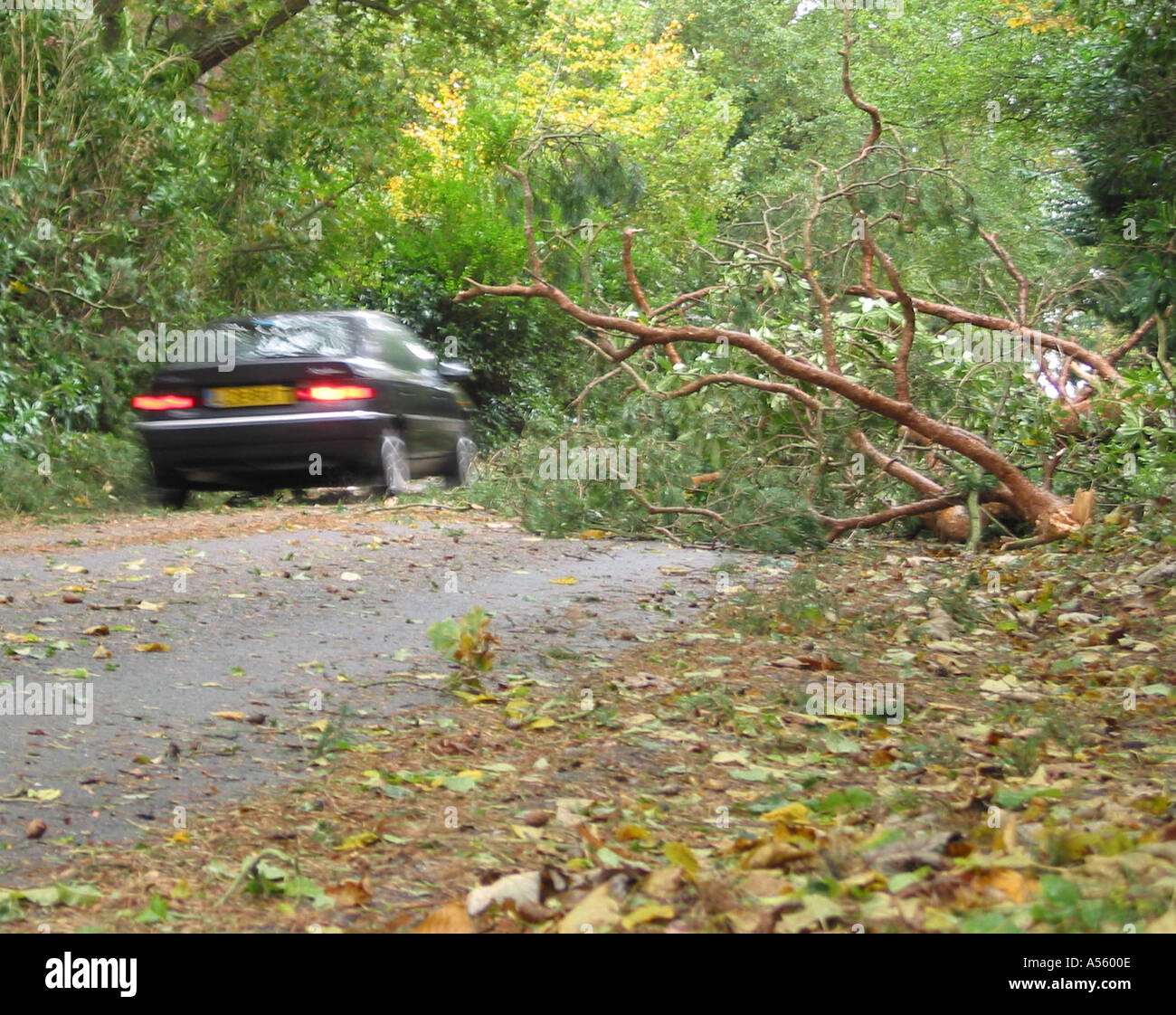 Norfolk highway hi-res stock photography and images - Alamy
