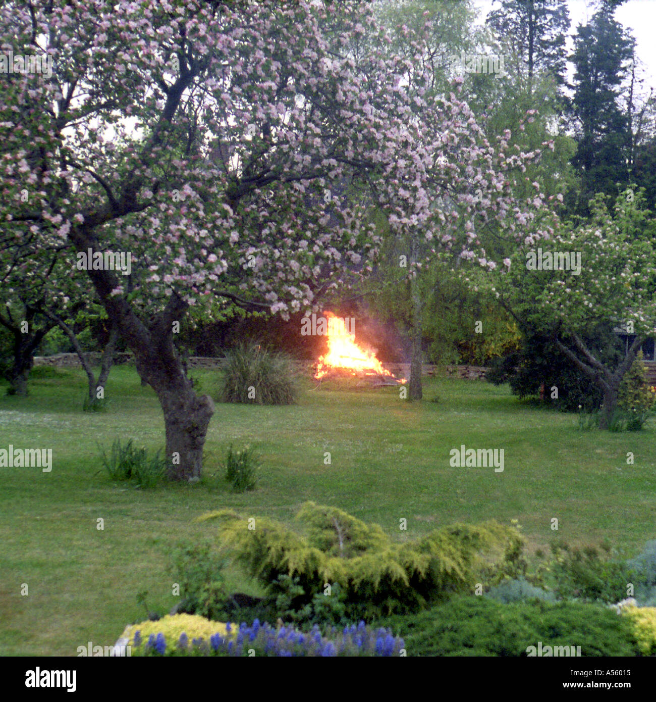 The bonfire hi-res stock photography and images - Alamy