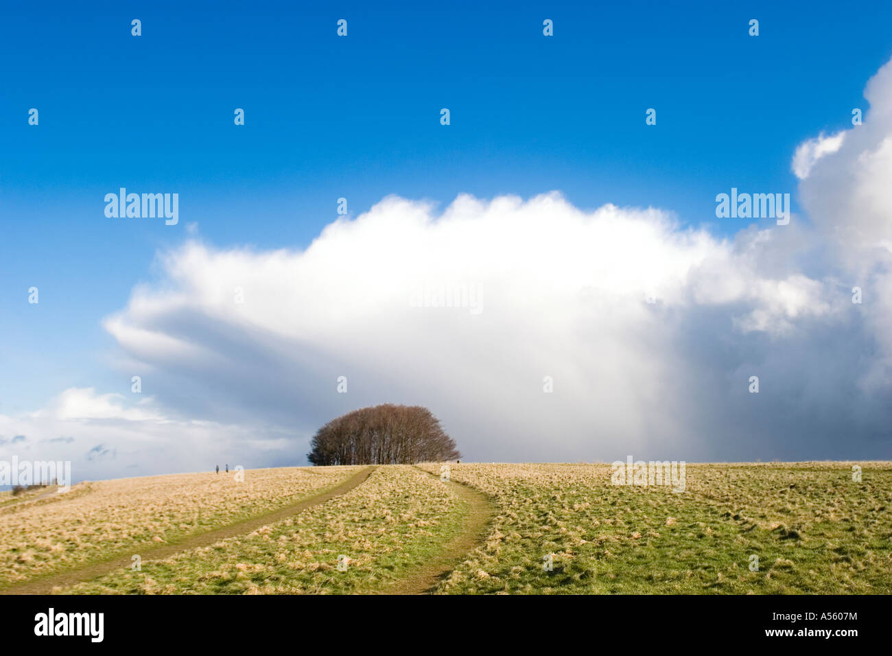 Wingreen hill hi-res stock photography and images - Alamy