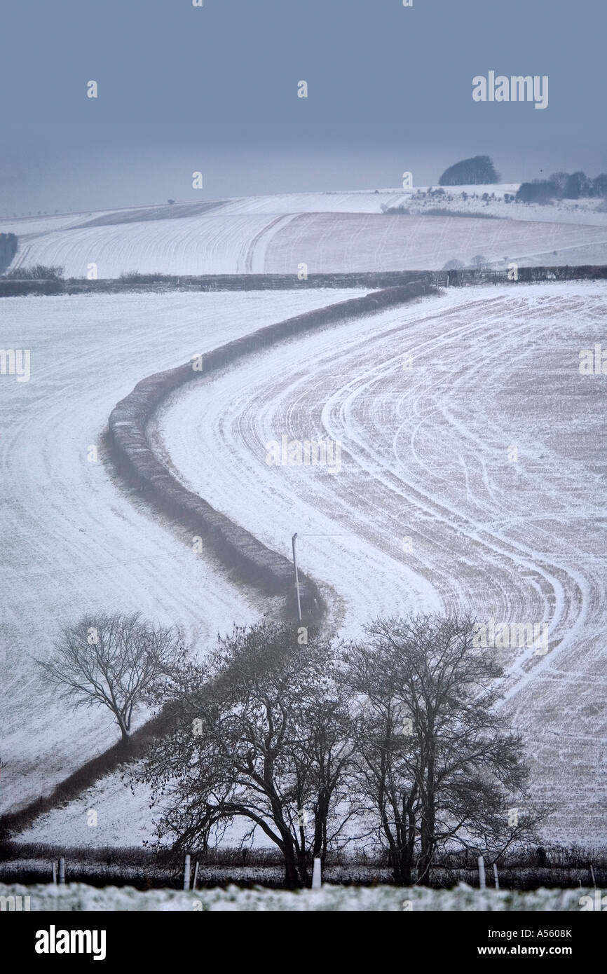 Cranborne Chase and Win Green Hill in the Winter Stock Photo - Alamy