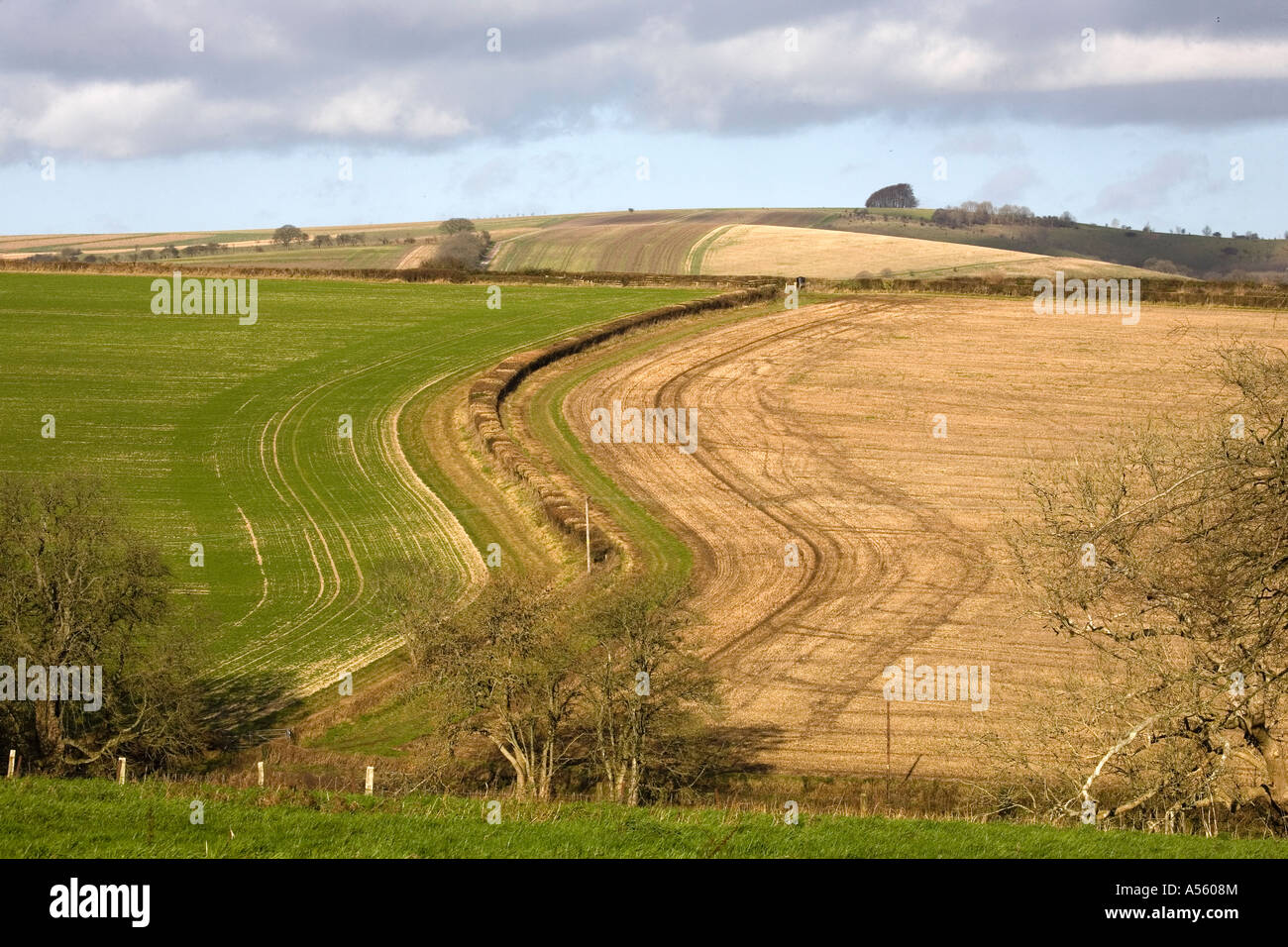 Wingreen hill hi-res stock photography and images - Alamy