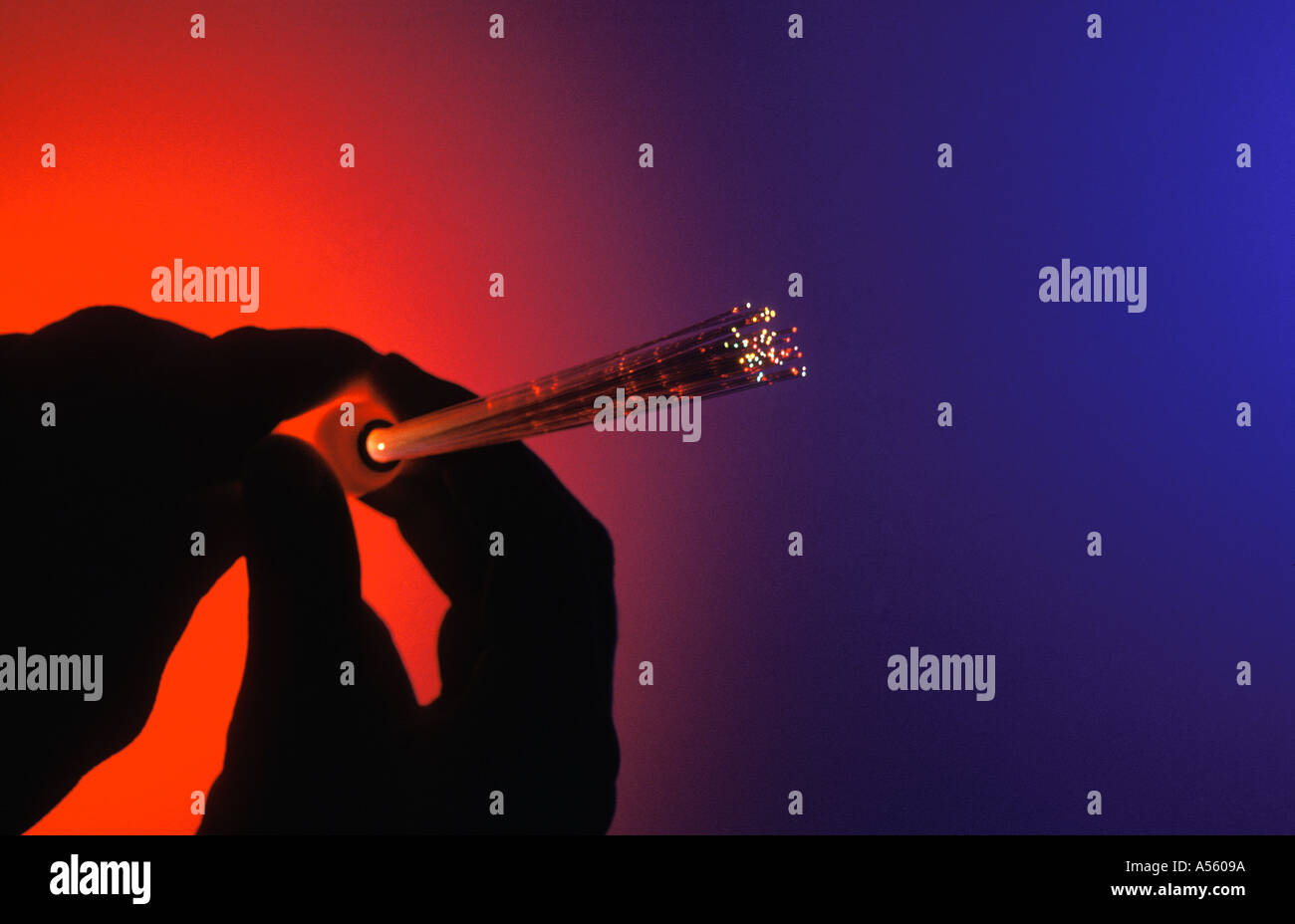 technician in lab holding fiber optic cable Stock Photo - Alamy