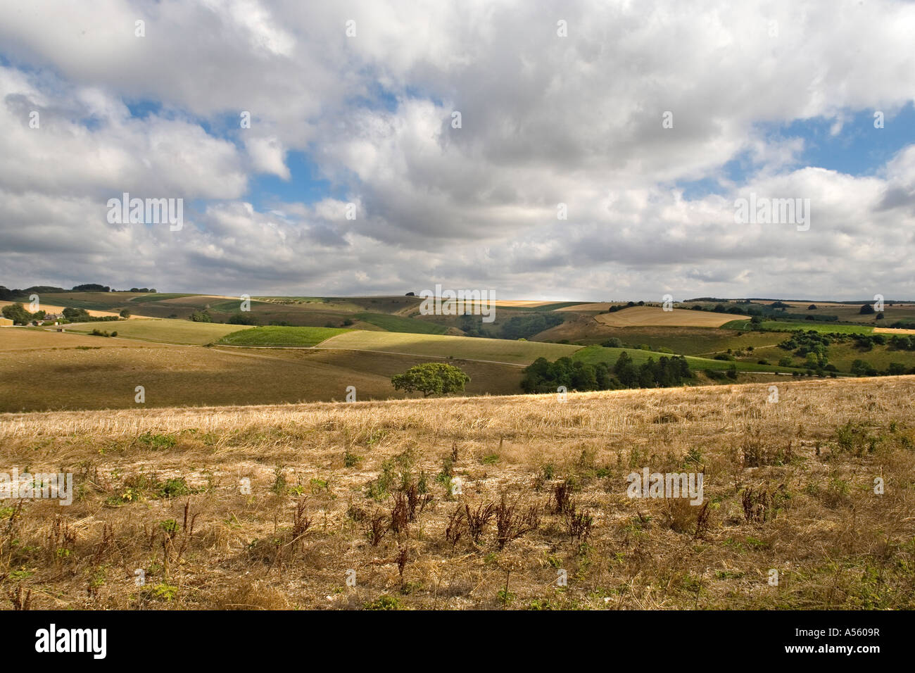 Wingreen hill hi-res stock photography and images - Alamy