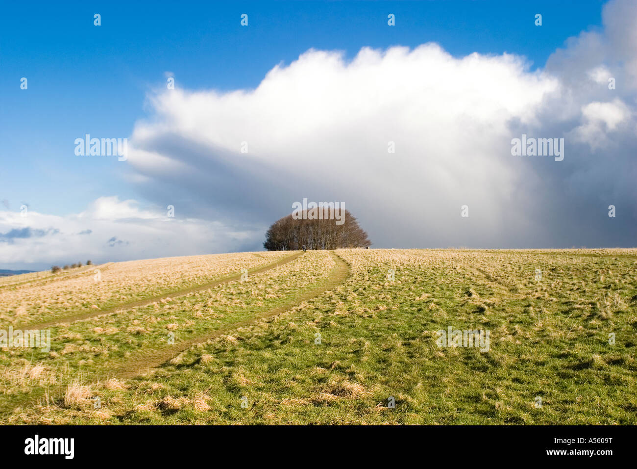 Wingreen hill hi-res stock photography and images - Alamy
