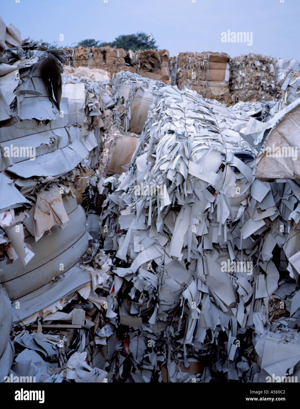 Bales of waste paper at a recycling plant Stock Photo - Alamy