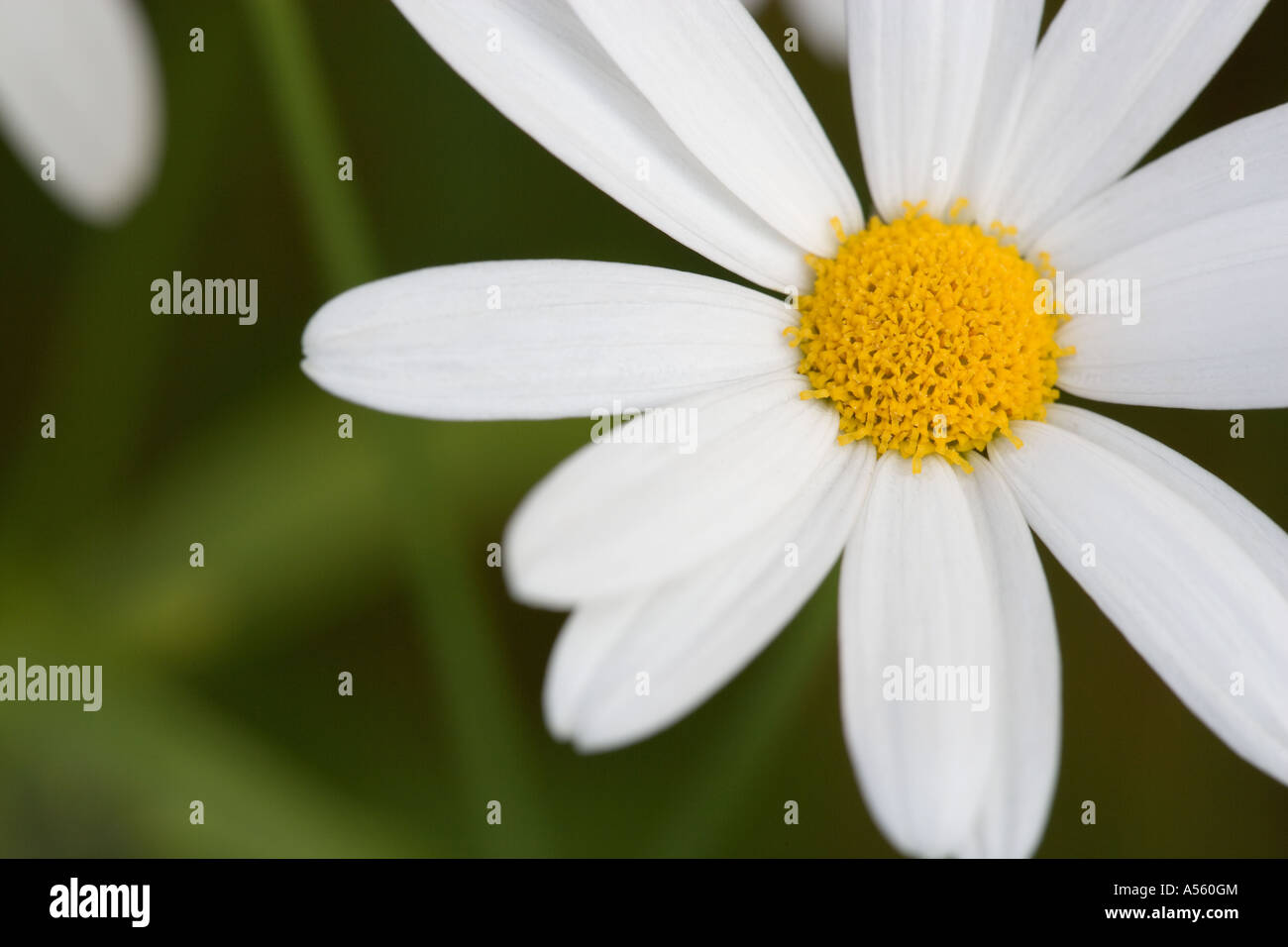 Giant wedding card hi-res stock photography and images - Alamy