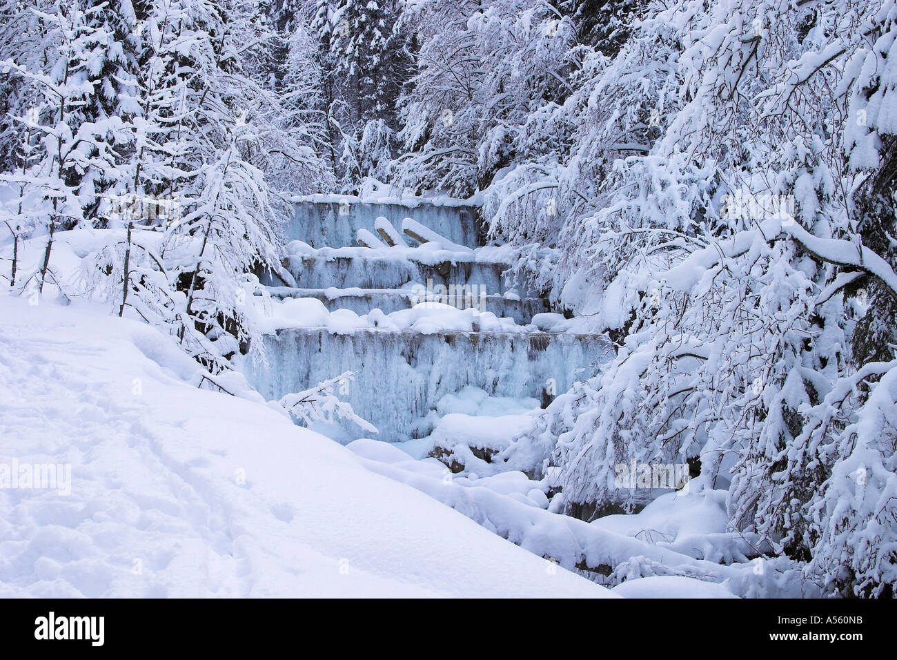 Snowy frozen mountain stream Stock Photo - Alamy