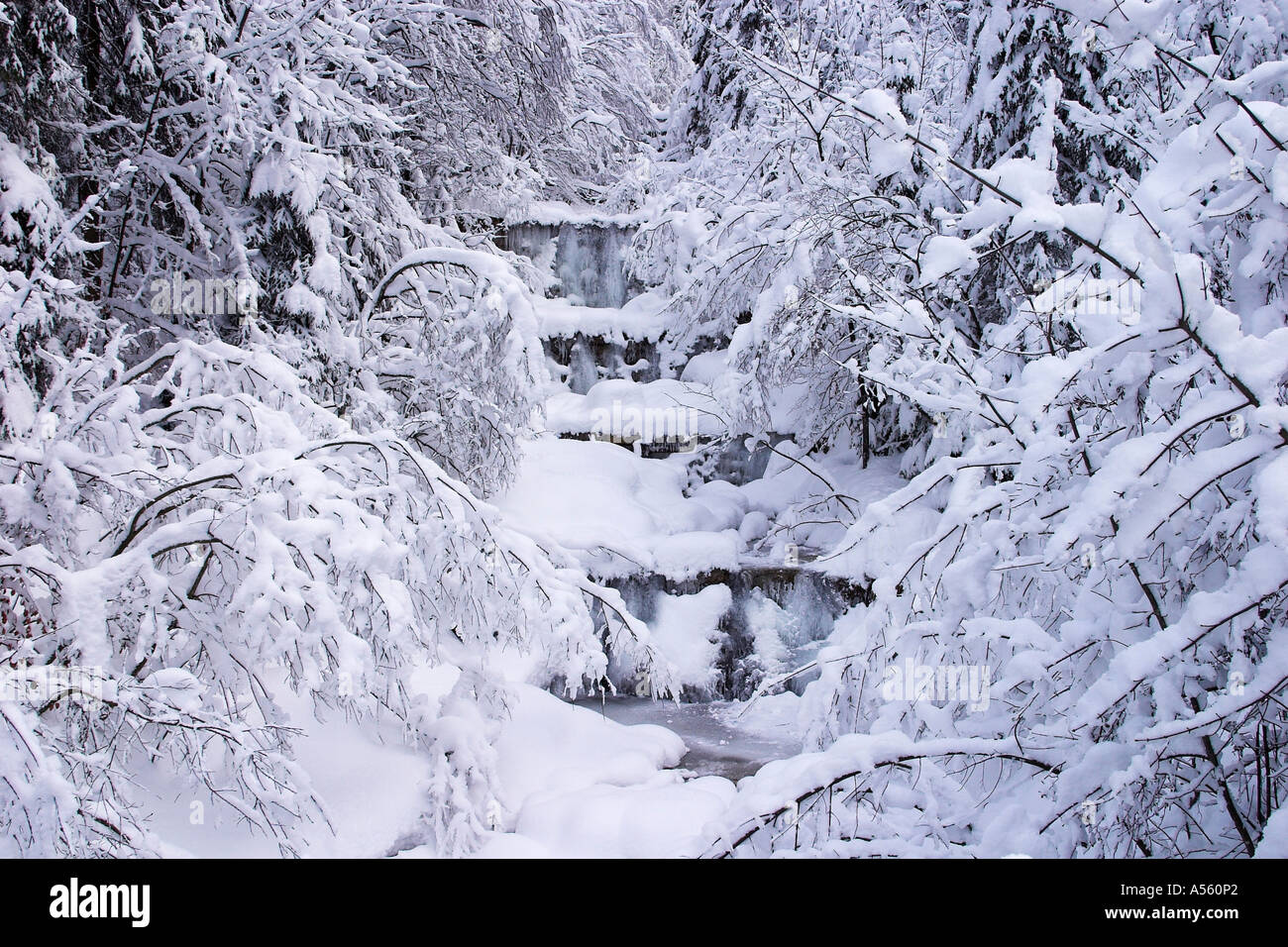 Snowy frozen mountain stream Stock Photo - Alamy