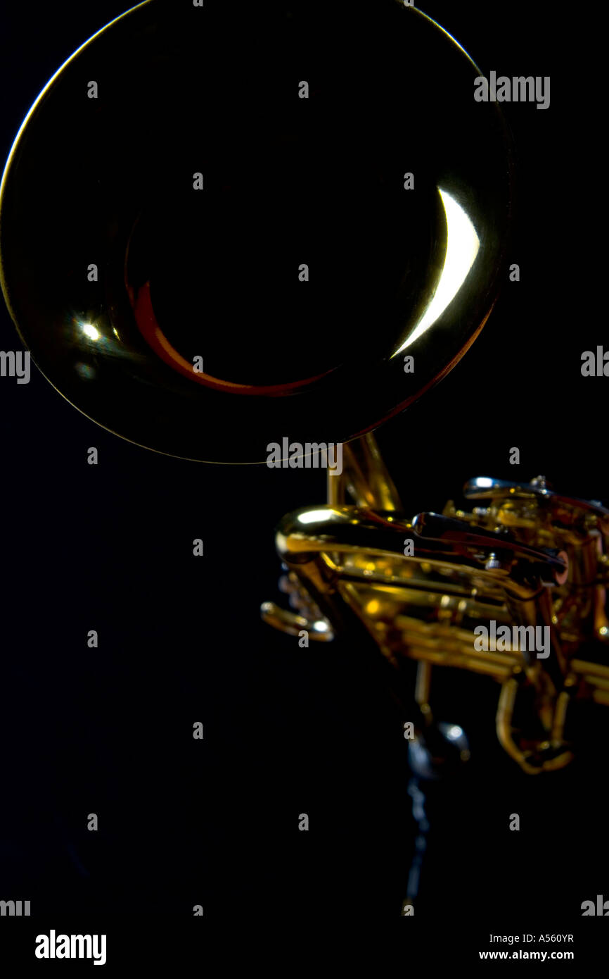 Trumpet still life Stock Photo - Alamy