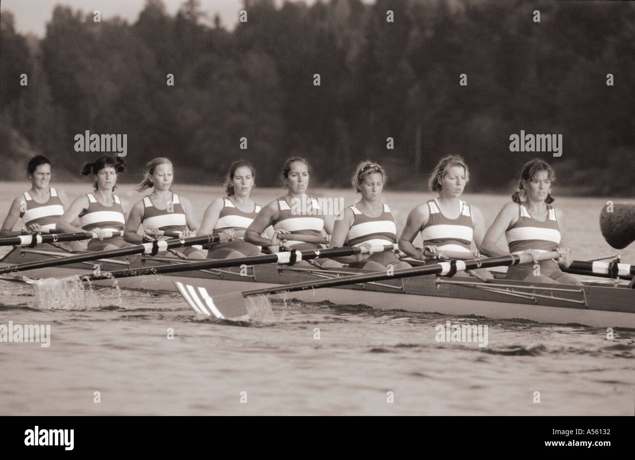 teamwork cooperation stockholms rowing club women team model released ...