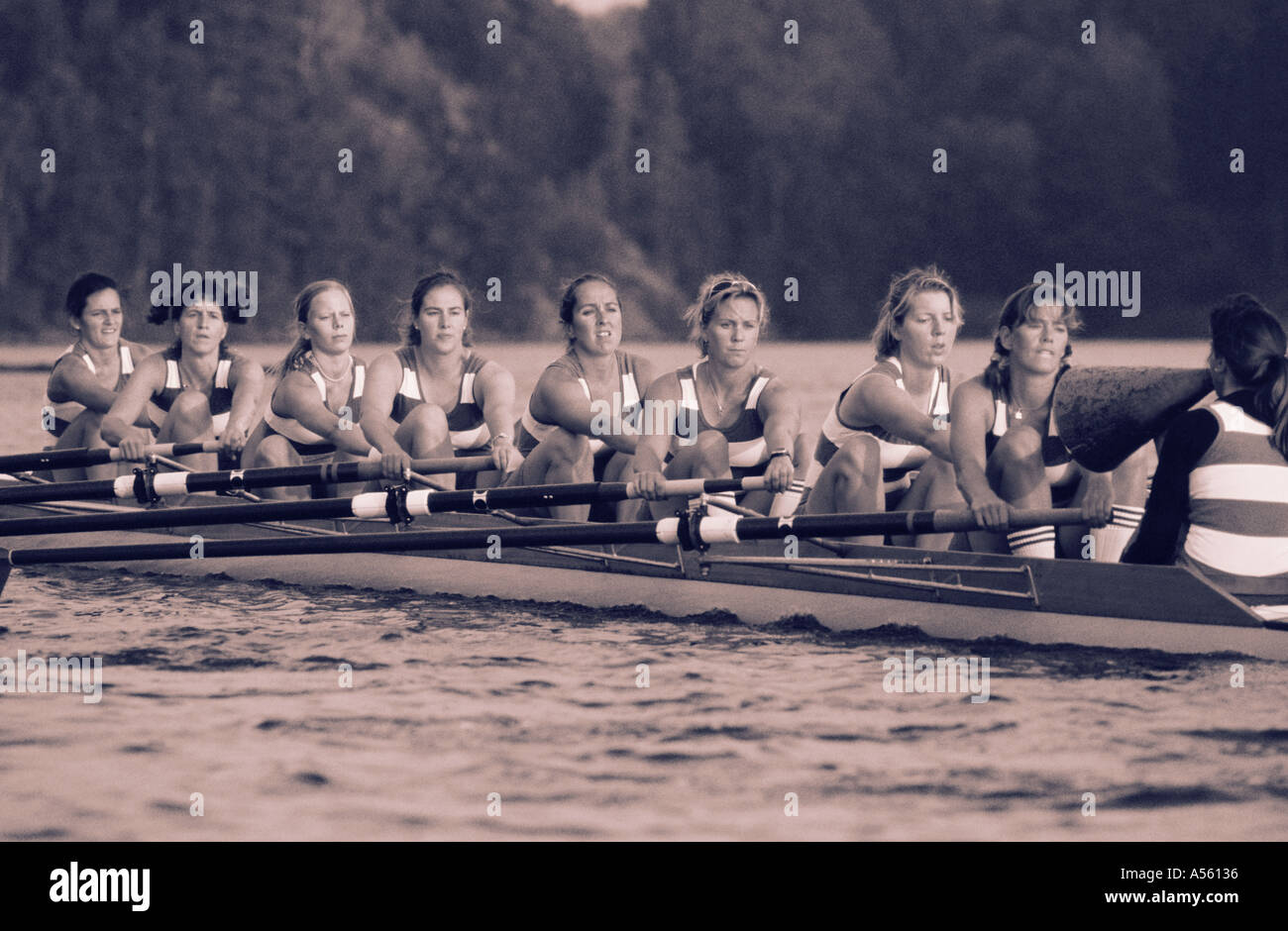 teamwork cooperation stockholms rowing club women team model released ...