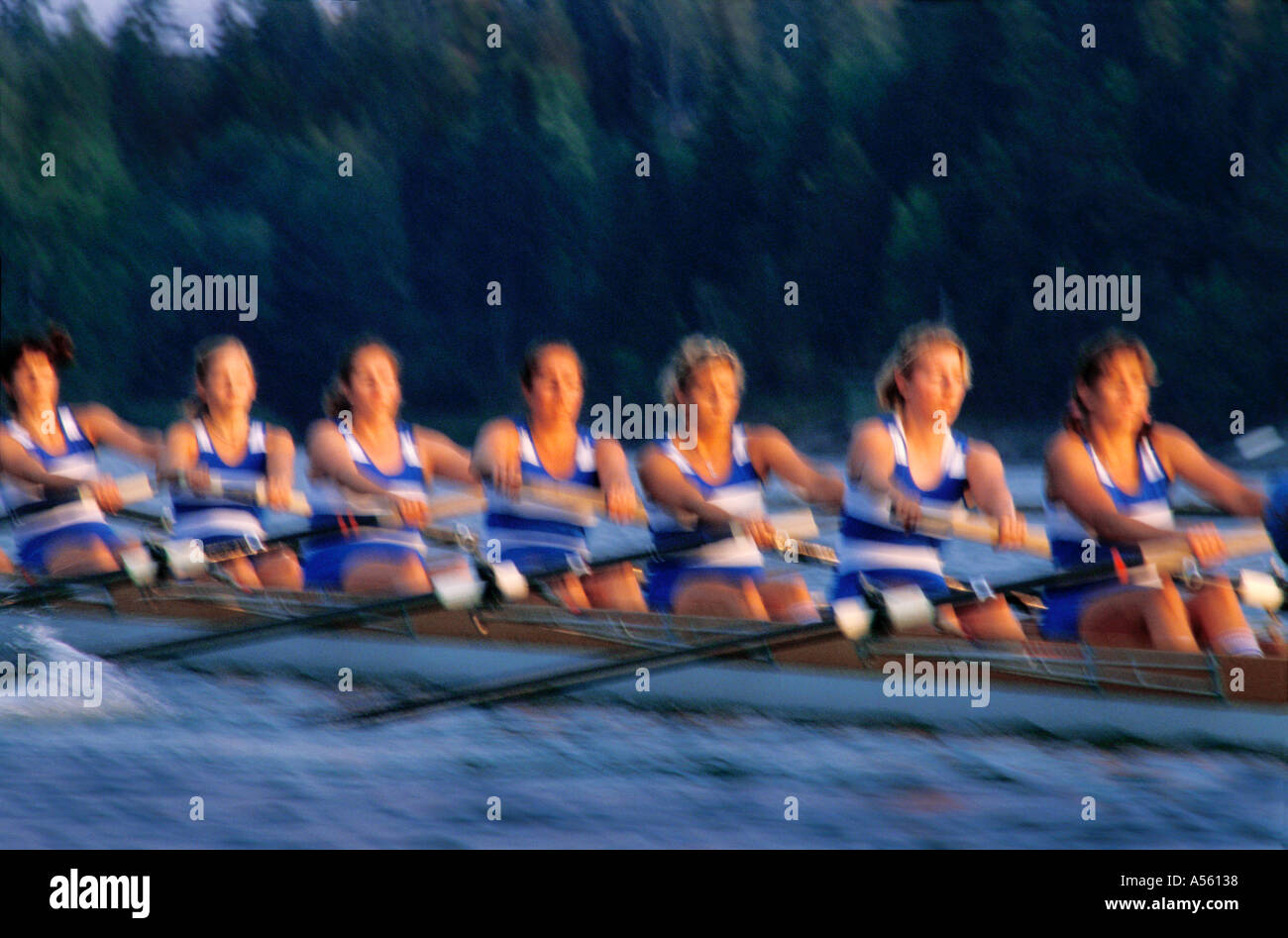 teamwork cooperation stockholms rowing club women team model released ...