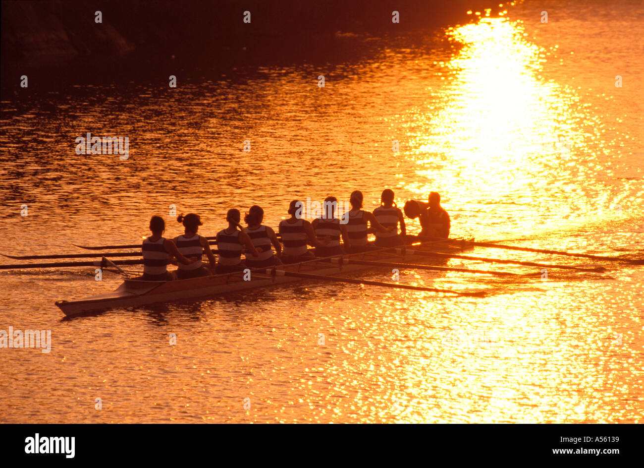 teamwork cooperation stockholms rowing club women team model released ...