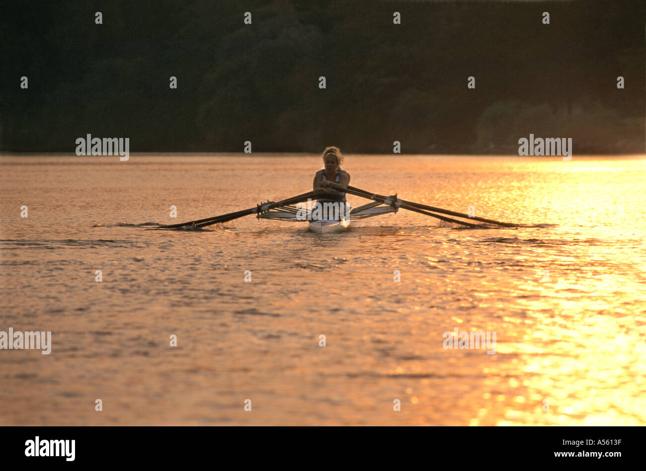 teamwork cooperation stockholms rowing club women team model released ...