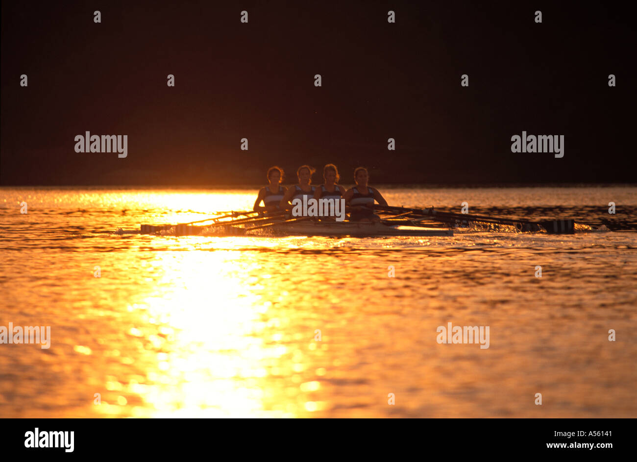 teamwork cooperation stockholms rowing club women team model released ...
