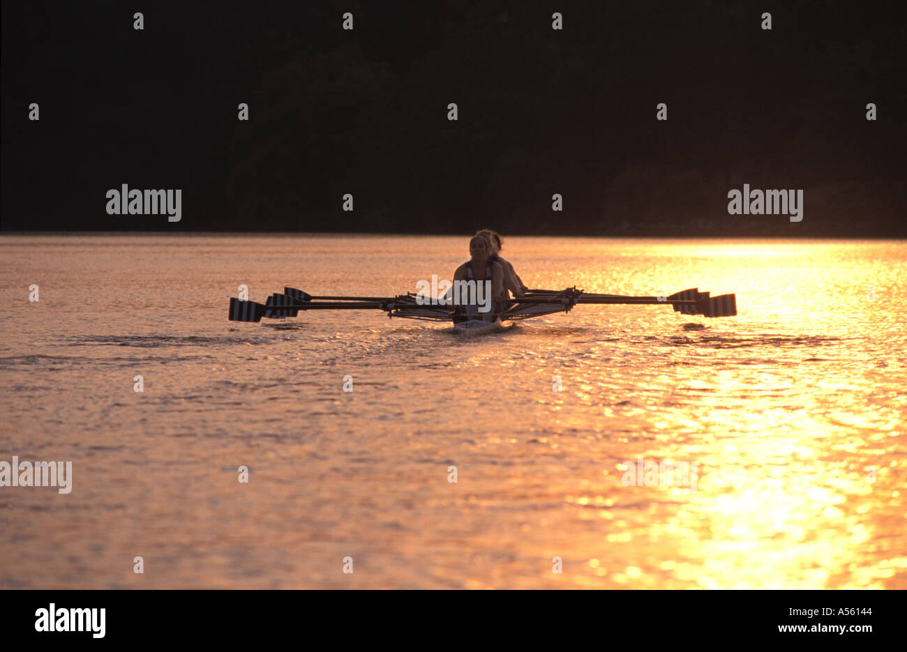 teamwork cooperation stockholms rowing club women team model released ...