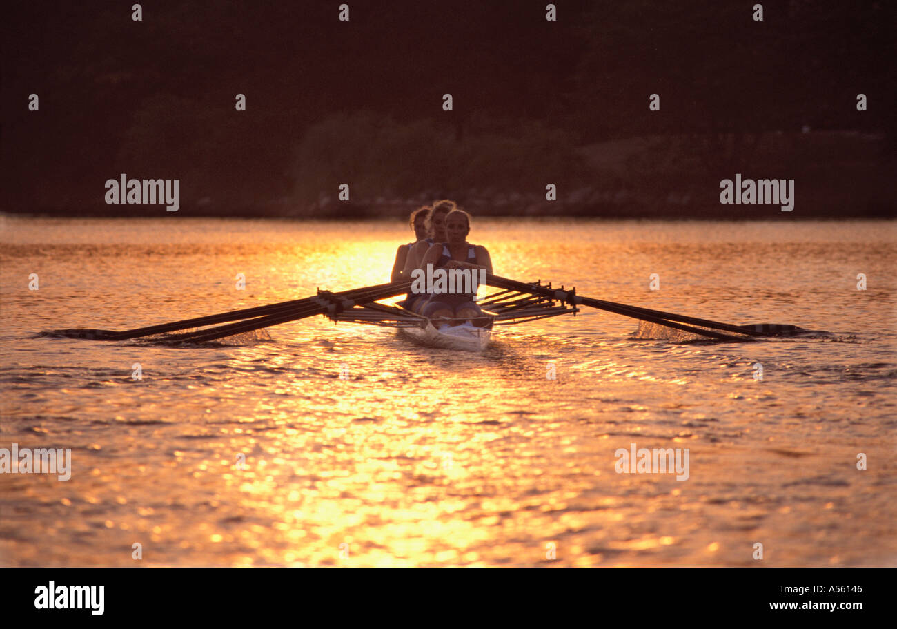 teamwork cooperation stockholms rowing club women team model released ...