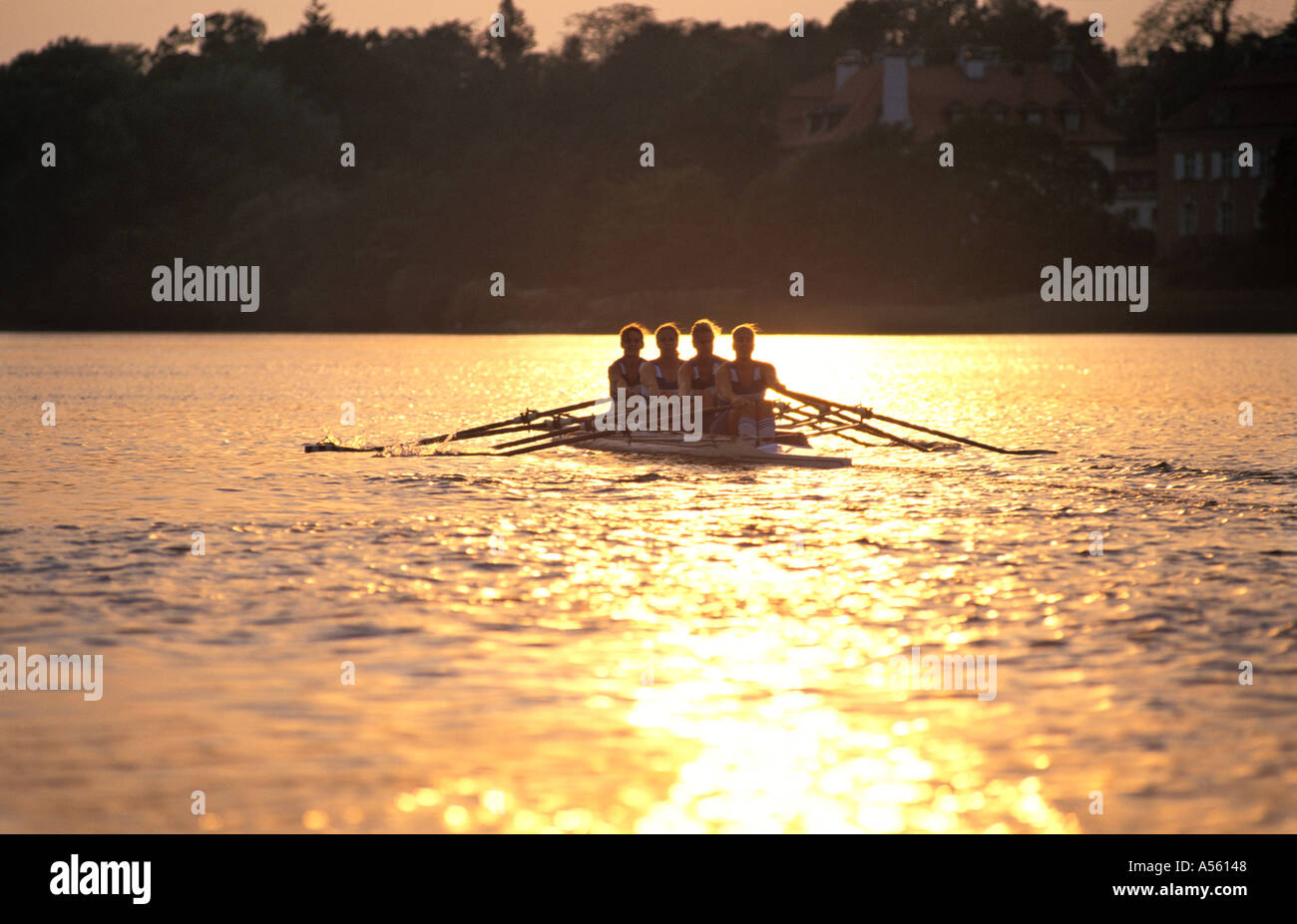 teamwork cooperation stockholms rowing club women team model released ...