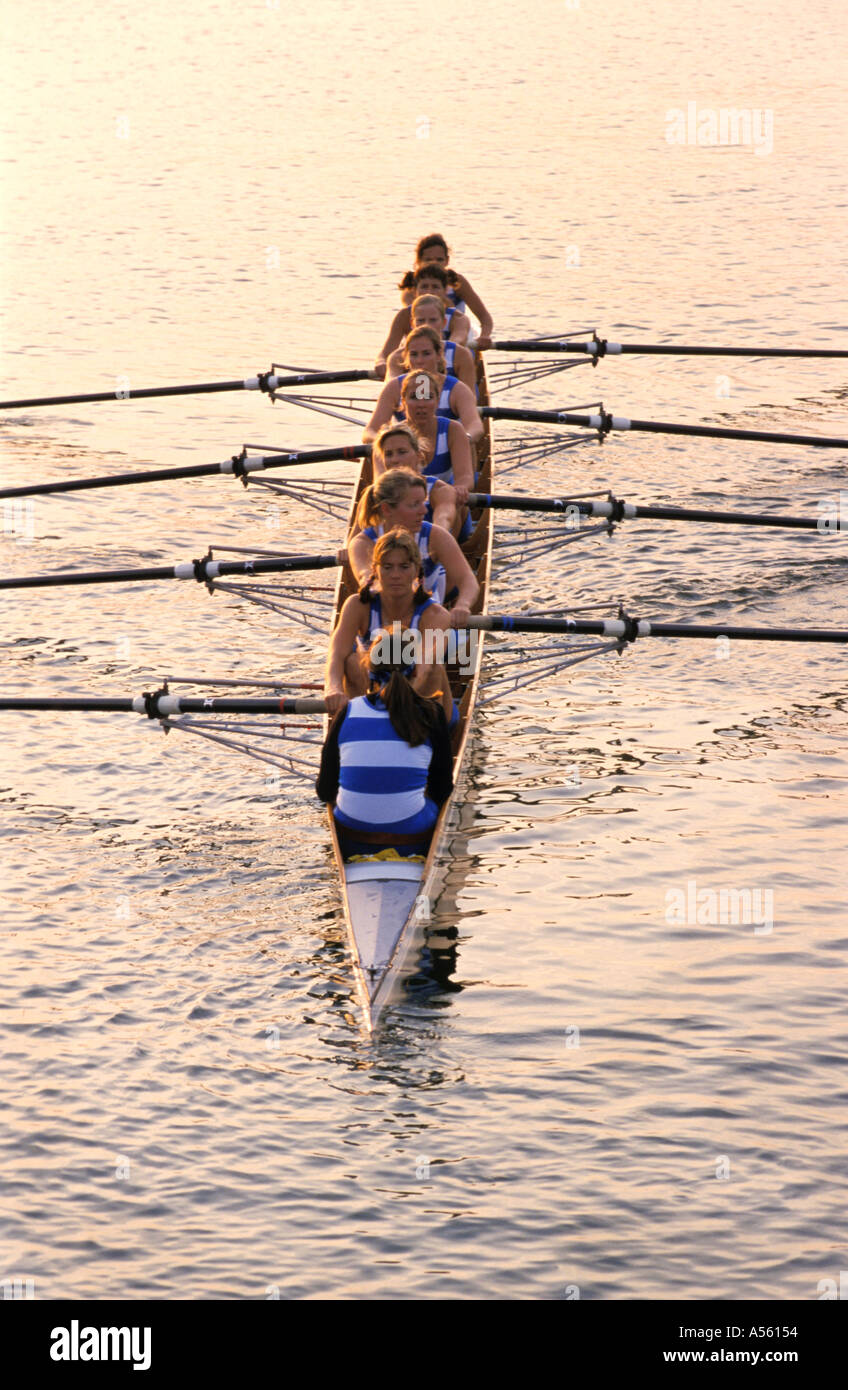 teamwork cooperation stockholms rowing club women team model released ...