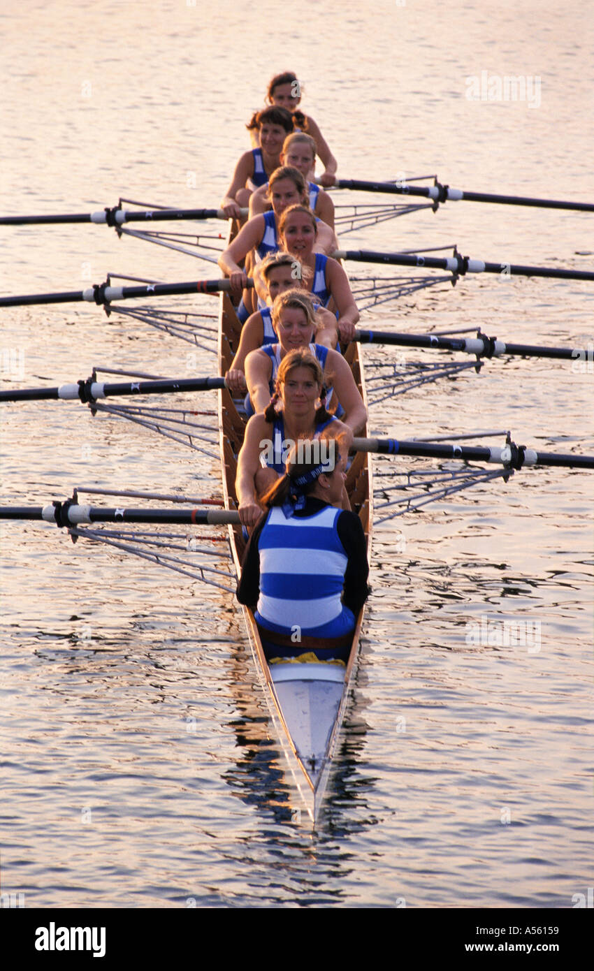 teamwork cooperation stockholms rowing club women team model released ...
