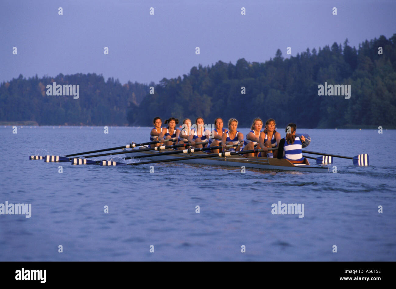 teamwork cooperation stockholms rowing club women team model released ...