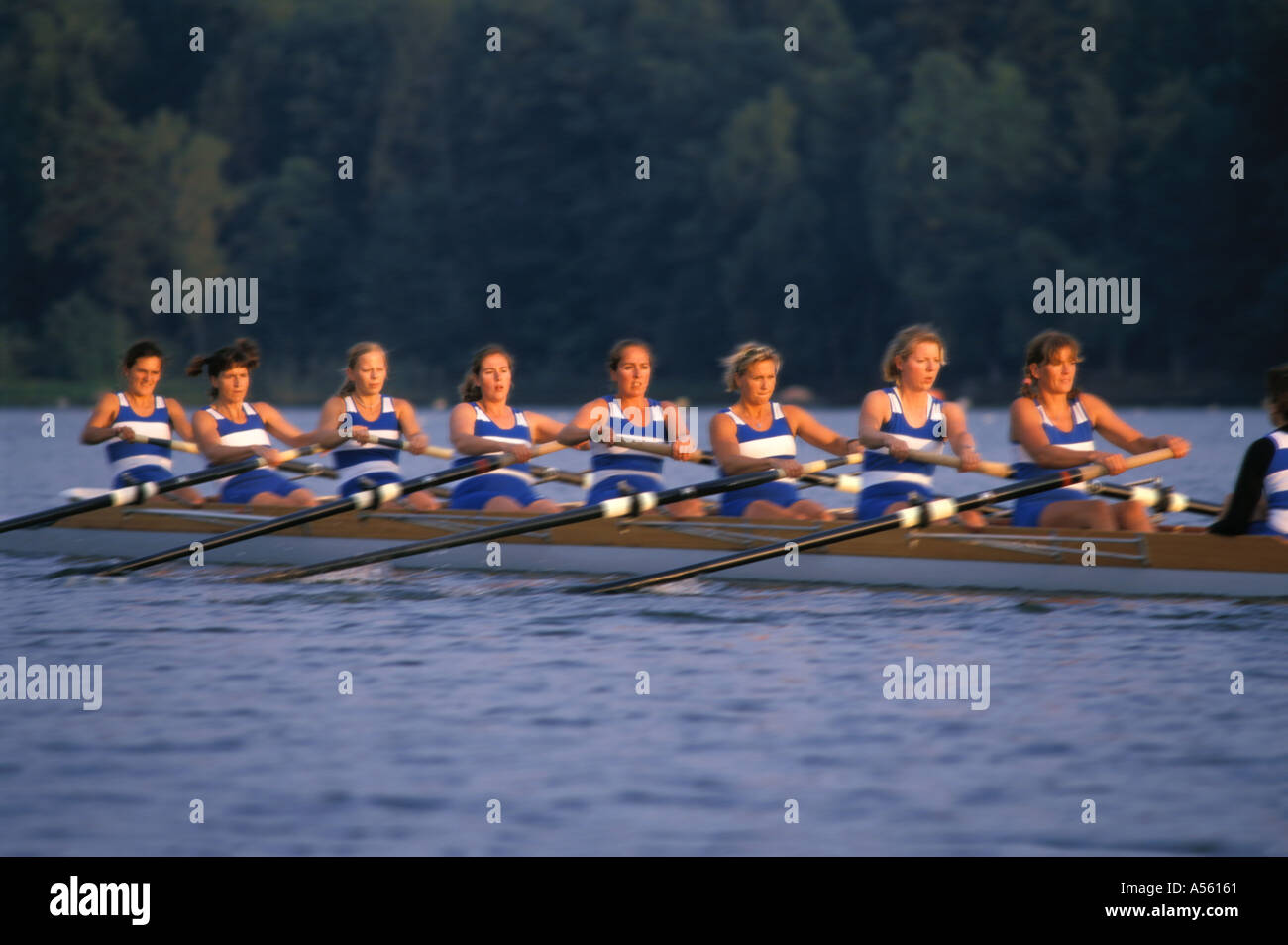 teamwork cooperation stockholms rowing club women team model released ...