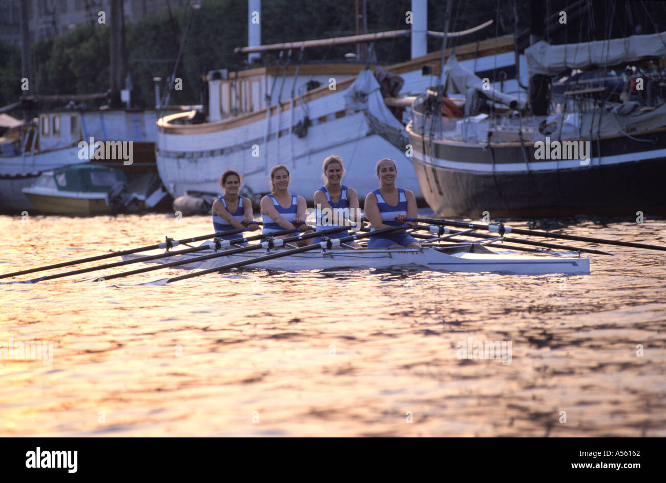 teamwork cooperation stockholms rowing club women team model released ...