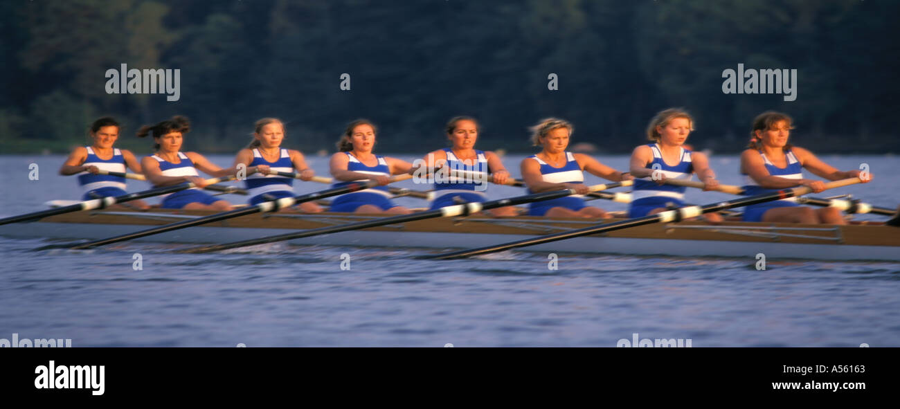 teamwork cooperation stockholms rowing club women team model released ...