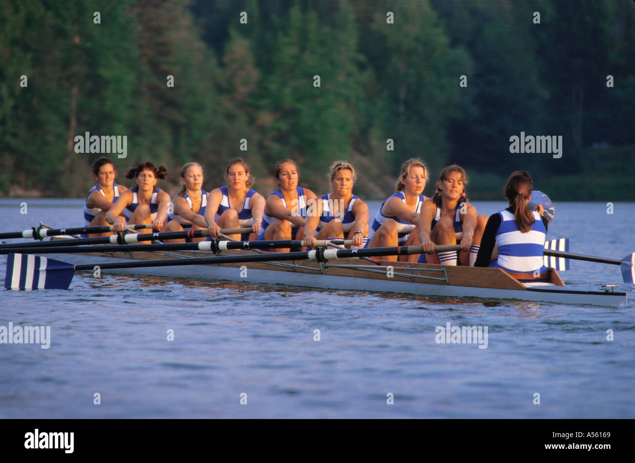 teamwork cooperation stockholms rowing club women team model released ...
