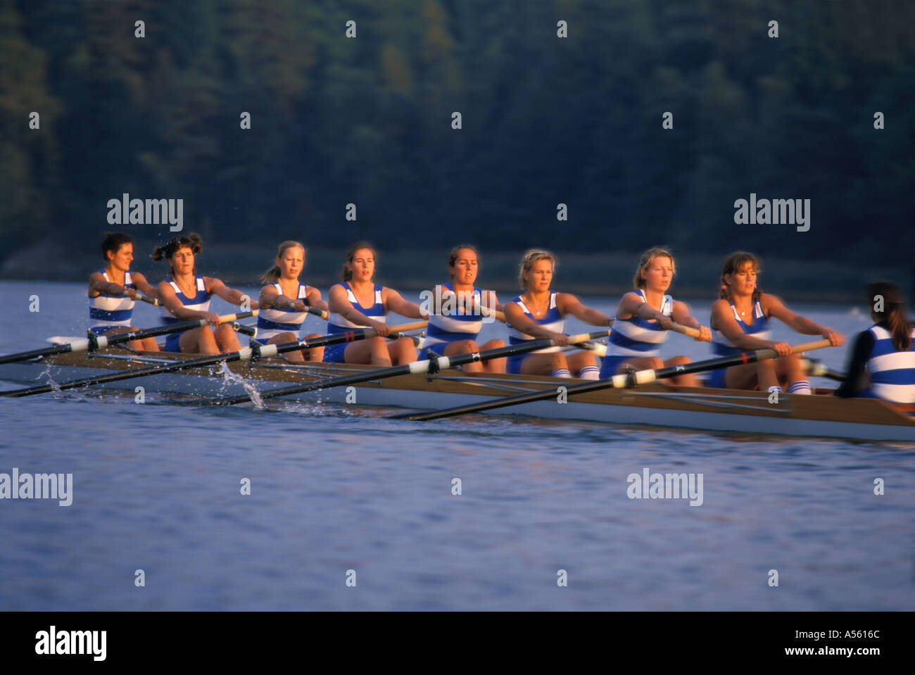 teamwork cooperation stockholms rowing club women team model released ...