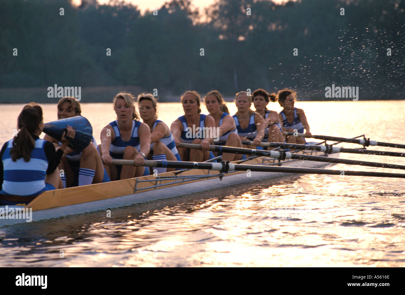 teamwork cooperation stockholms rowing club women team model released ...