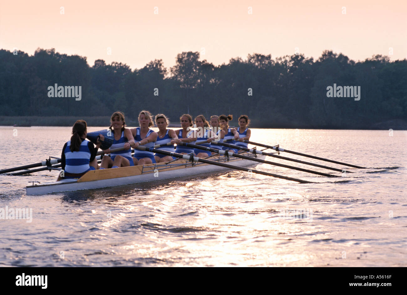 teamwork cooperation stockholms rowing club women team model released ...