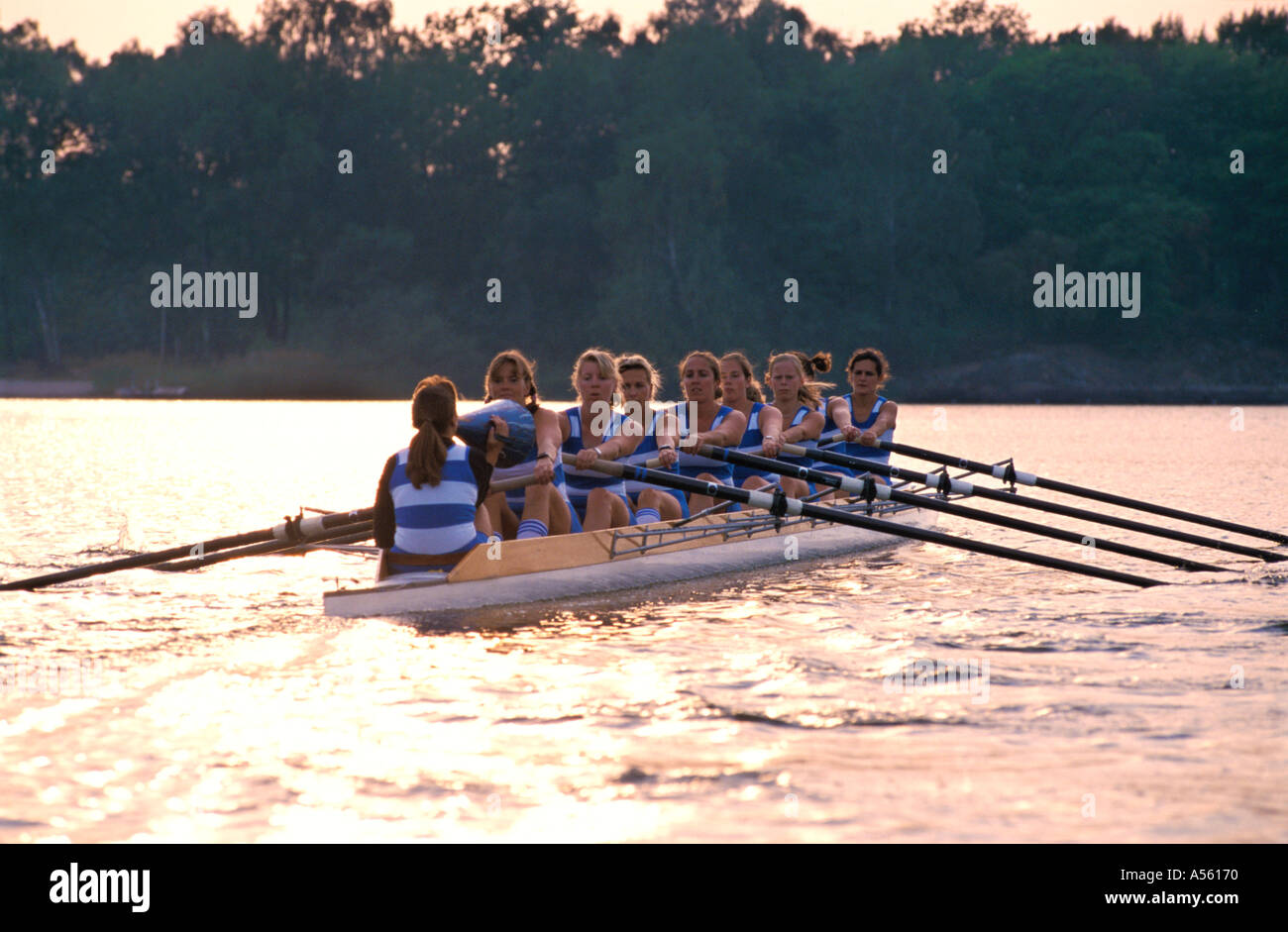 teamwork cooperation stockholms rowing club women team model released ...