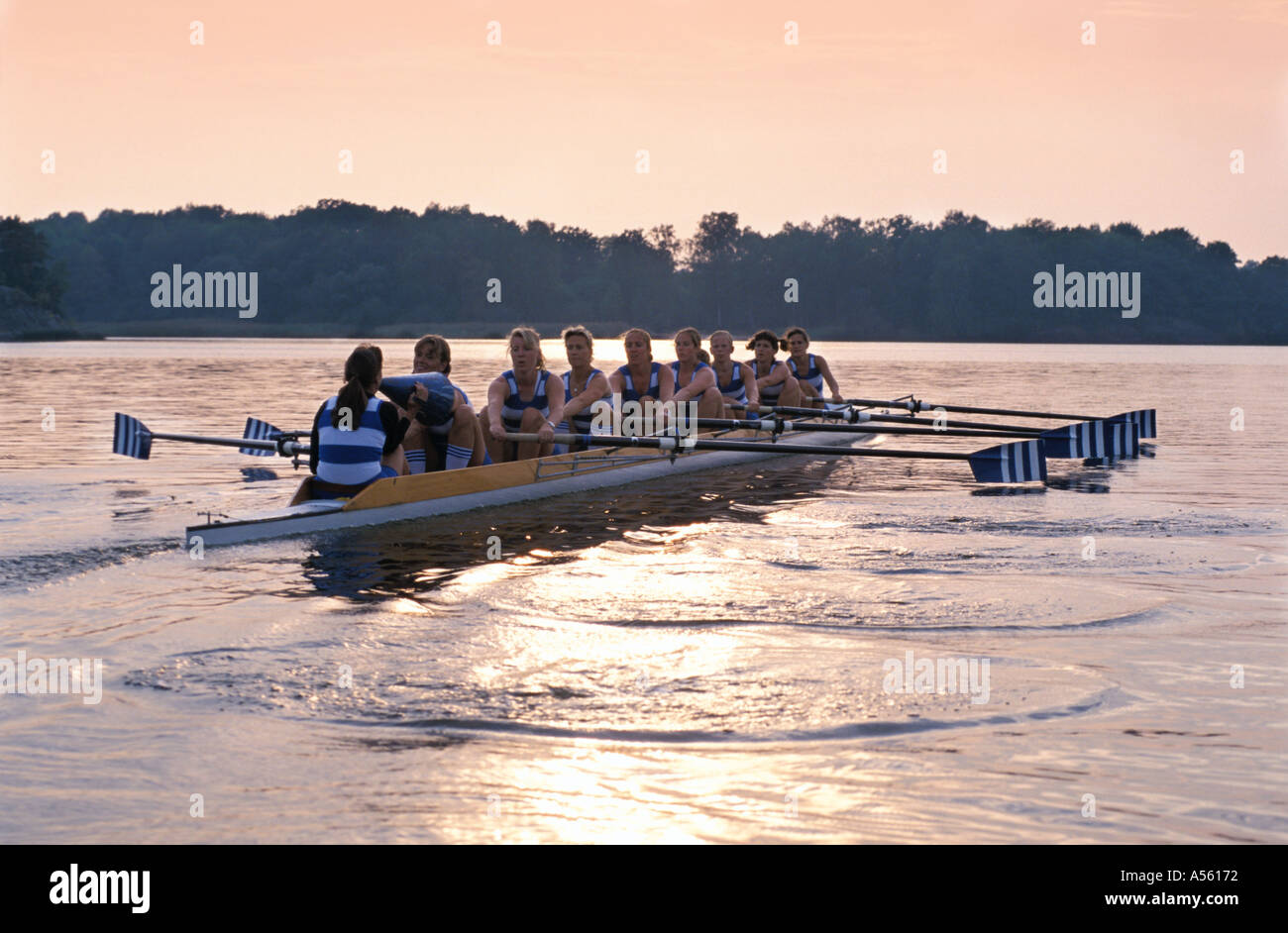 teamwork cooperation stockholms rowing club women team model released ...