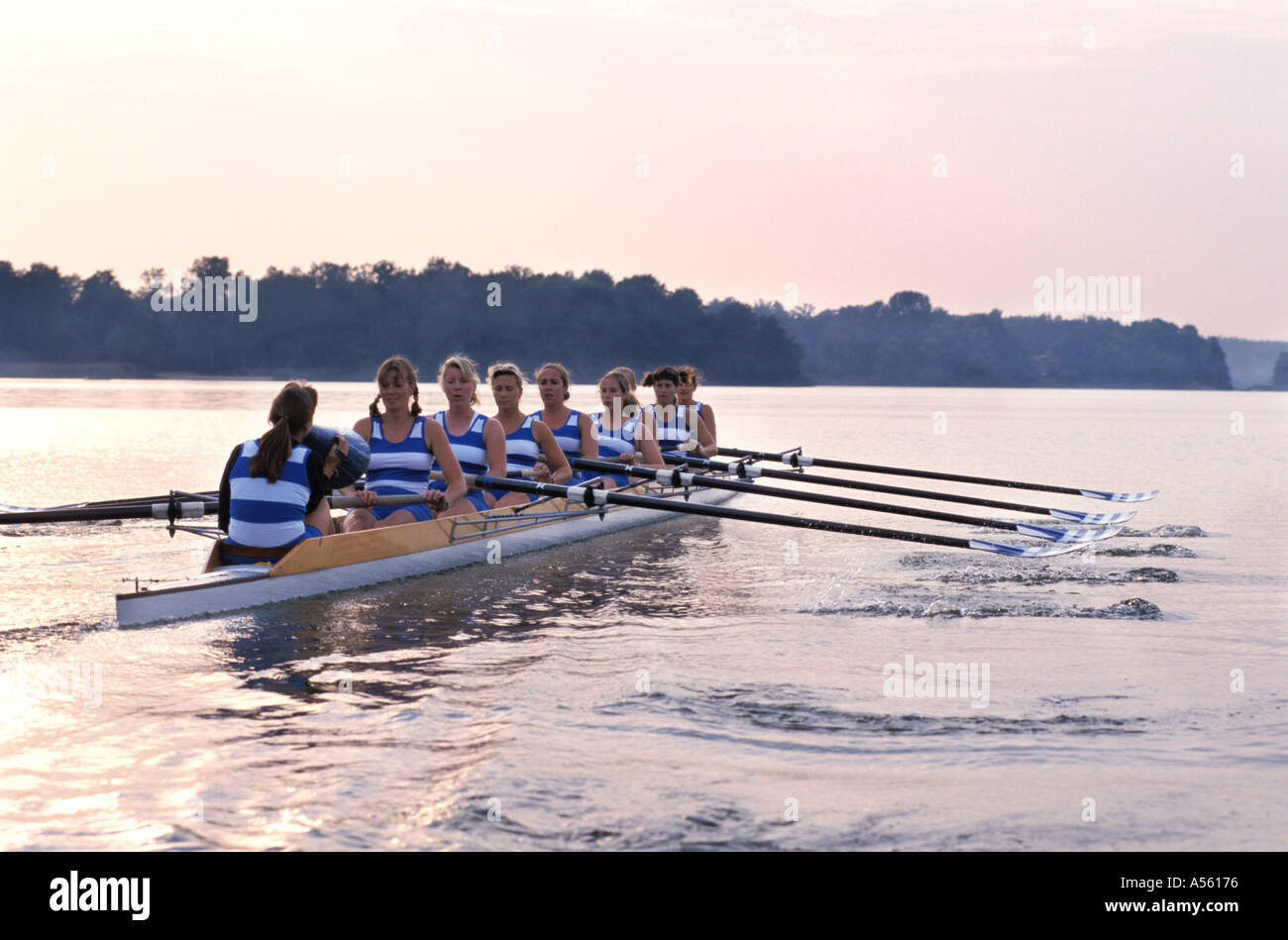 teamwork cooperation stockholms rowing club women team model released ...