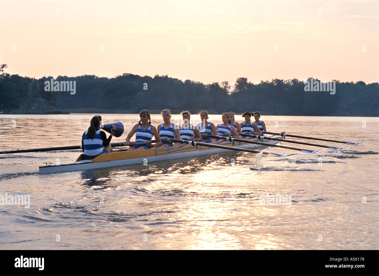 teamwork cooperation stockholms rowing club women team model released ...