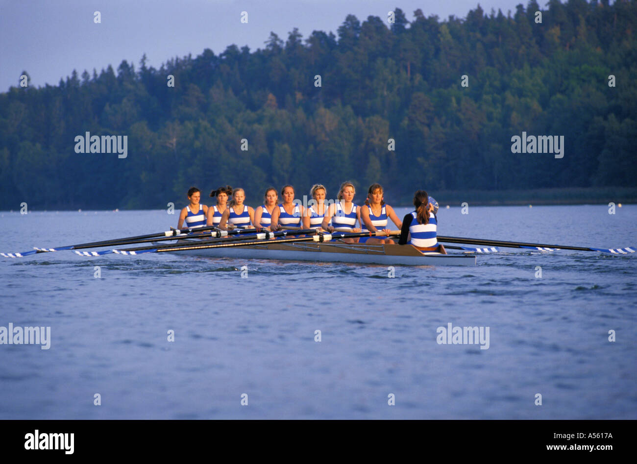 teamwork cooperation stockholms rowing club women team model released ...