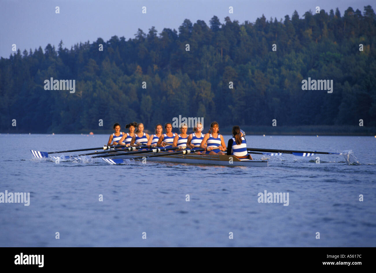 teamwork cooperation stockholms rowing club women team model released ...