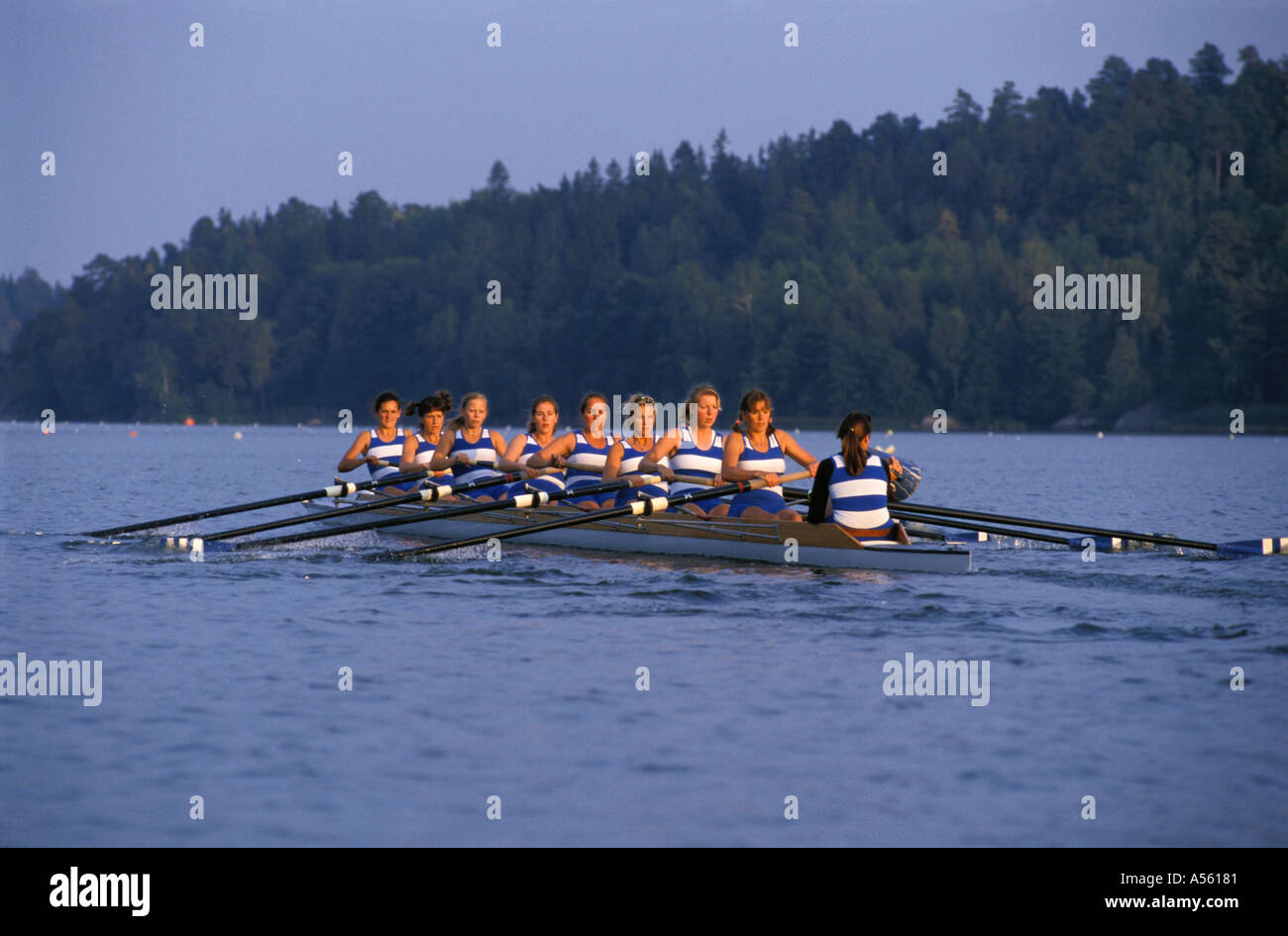 teamwork cooperation stockholms rowing club women team model released ...