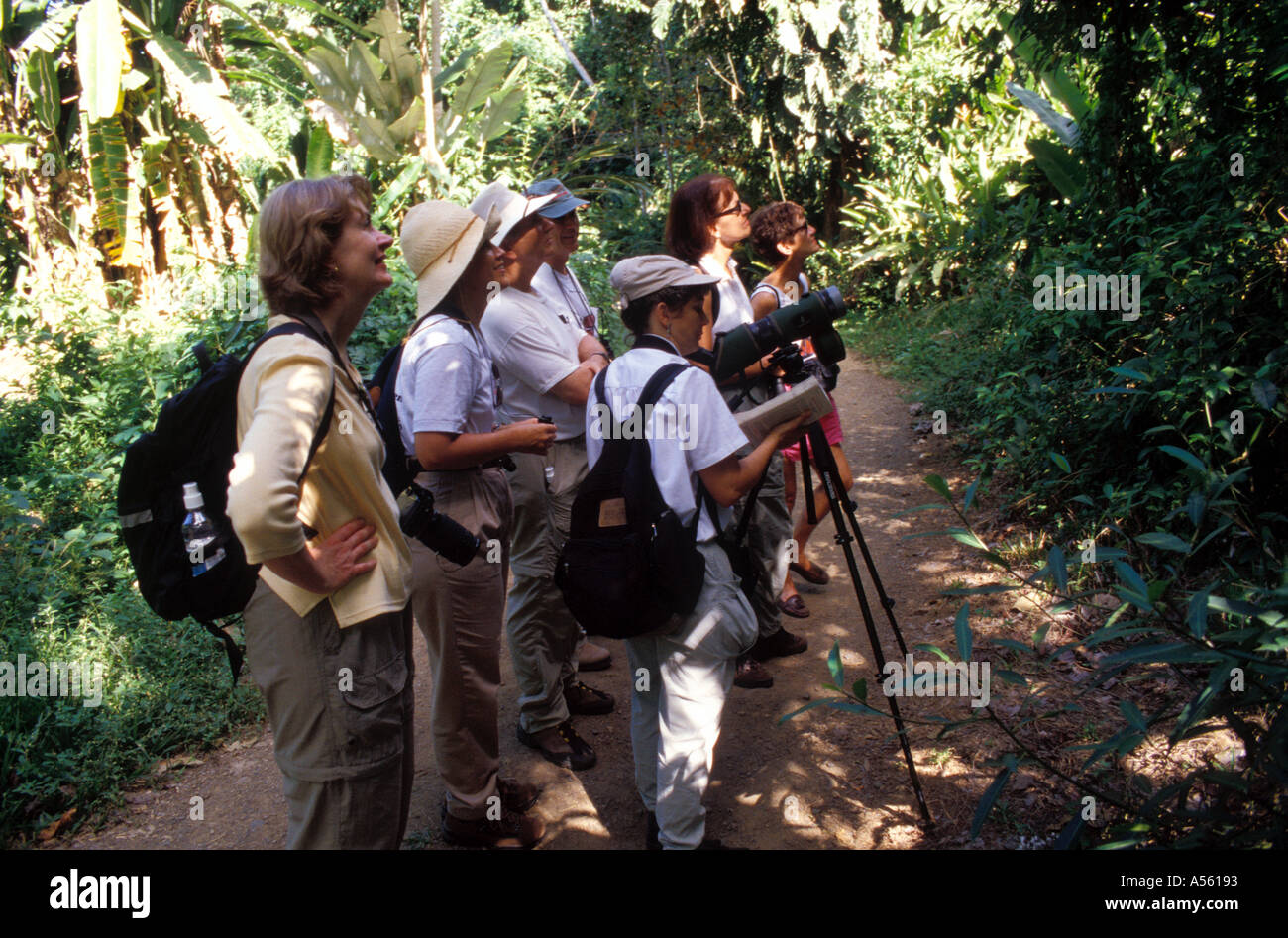 Costa Rica Carara Biological Reserve tourists on wildlife viewing hike ...