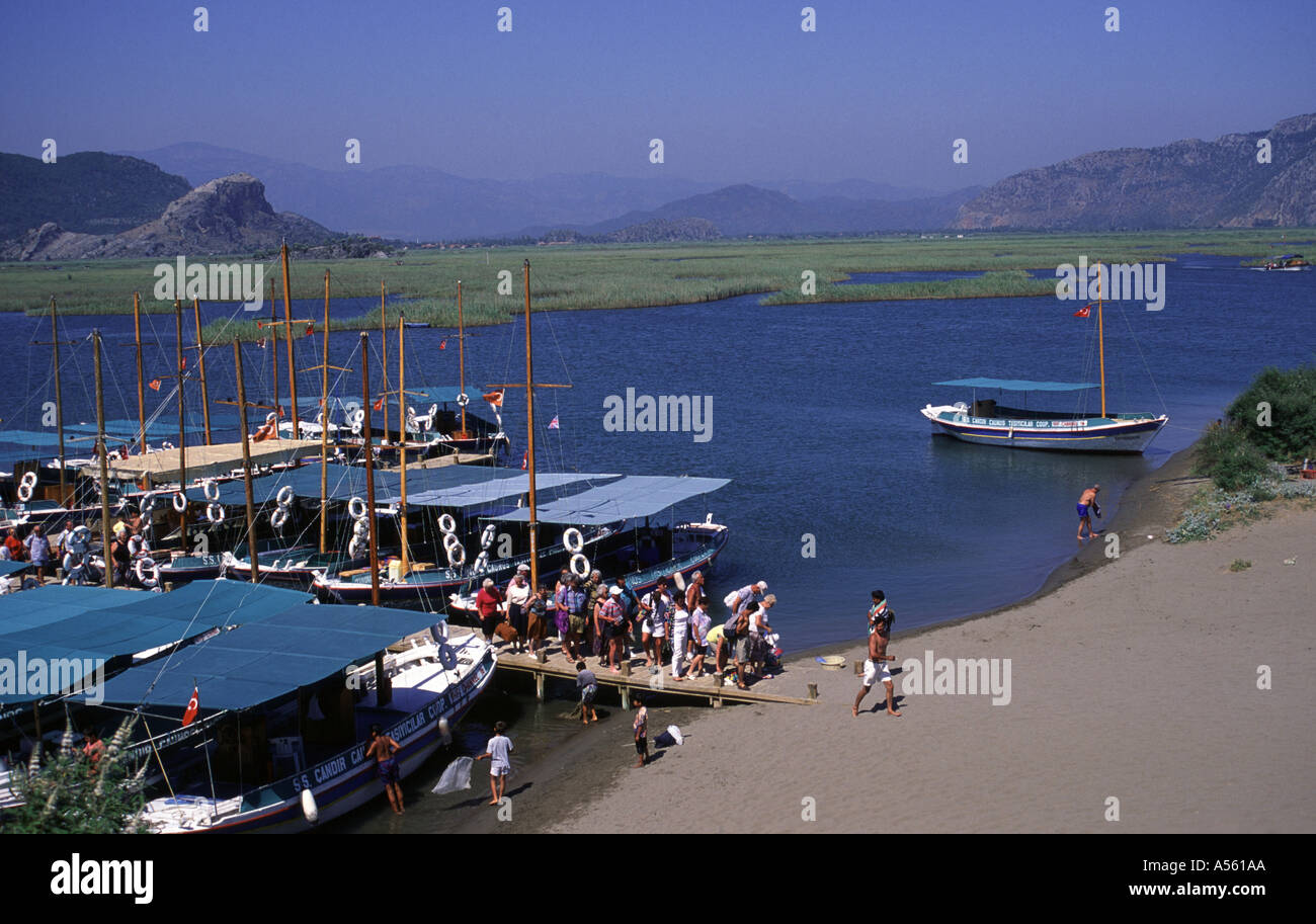 Dalyan beach turtles hi-res stock photography and images - Alamy