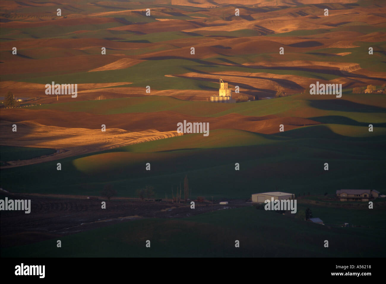 Rolling wheat fields Steptoe WA USA Stock Photo - Alamy