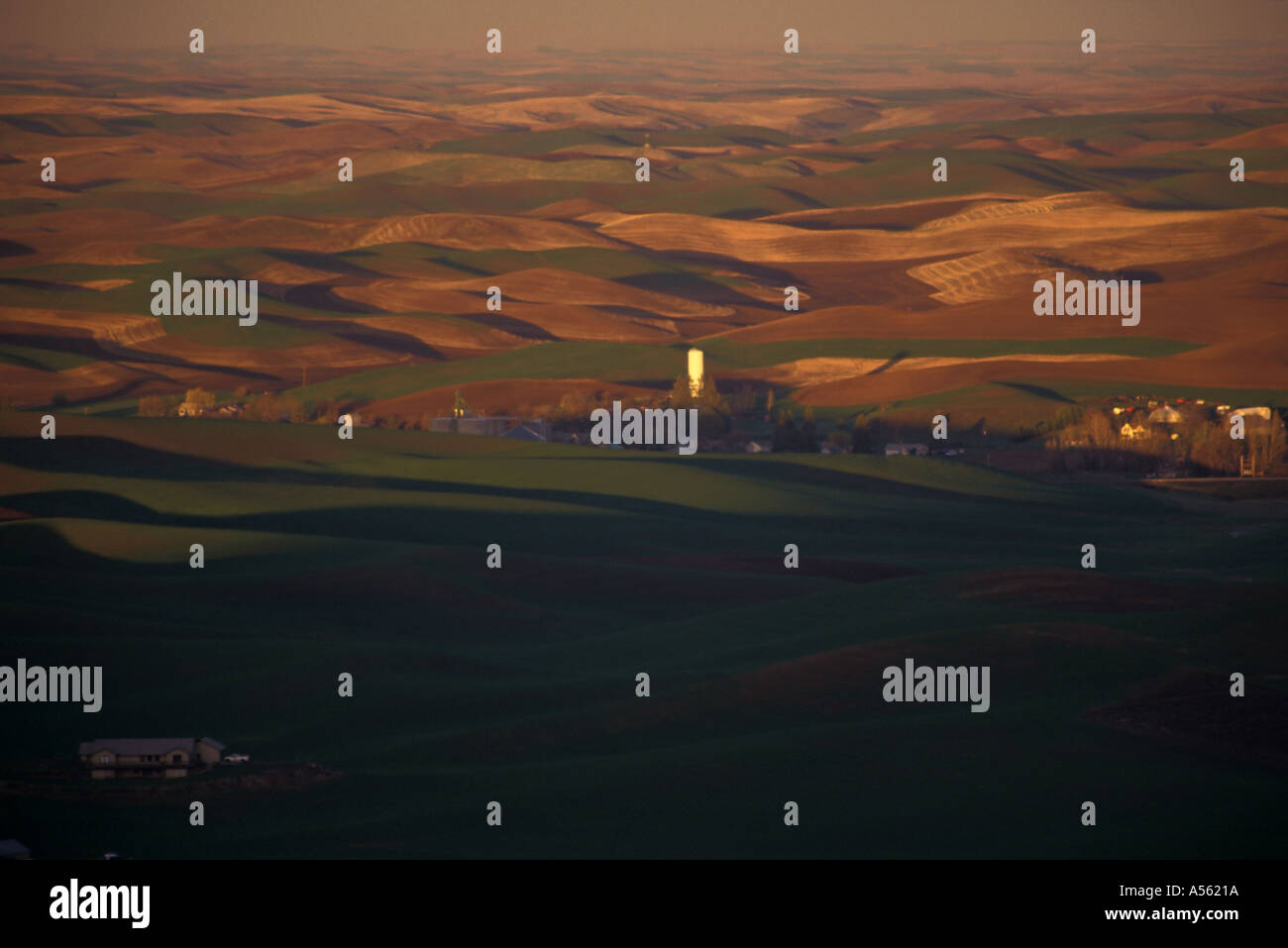 Rolling wheat fields Steptoe WA USA Stock Photo - Alamy