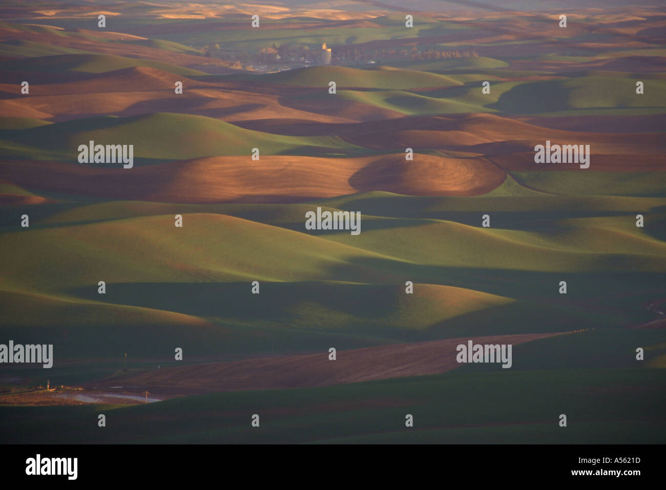 Rolling wheat fields Steptoe WA USA Stock Photo - Alamy