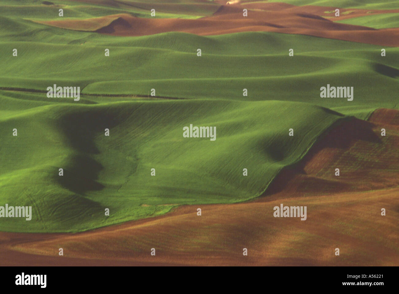 Rolling wheat fields Steptoe WA USA Stock Photo - Alamy