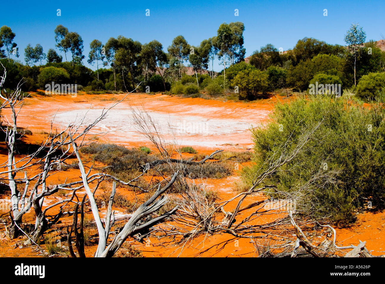 Alice Springs Desert Park in Australia Stock Photo - Alamy