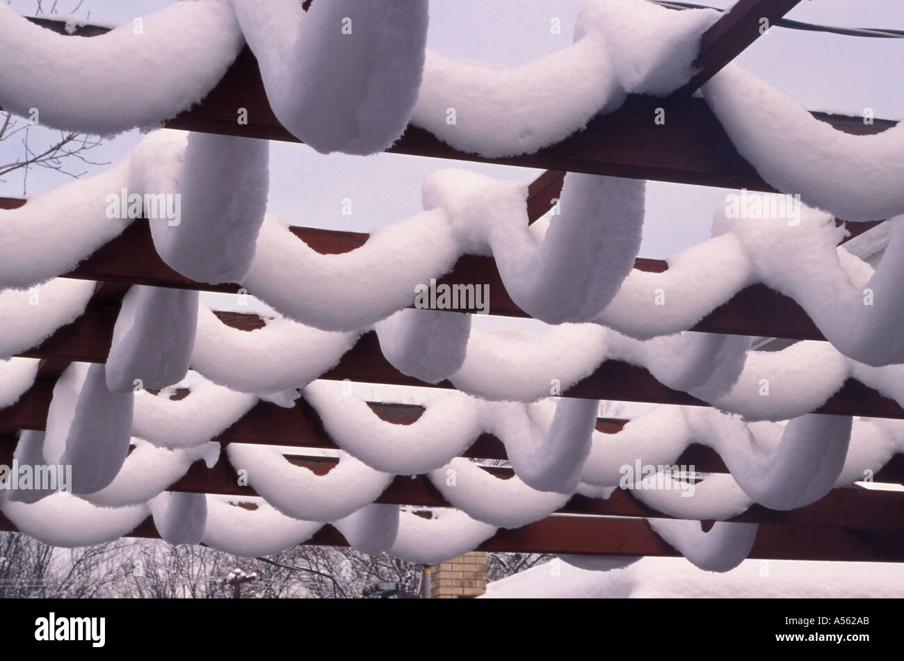 Winter snow on trellis Stock Photo - Alamy